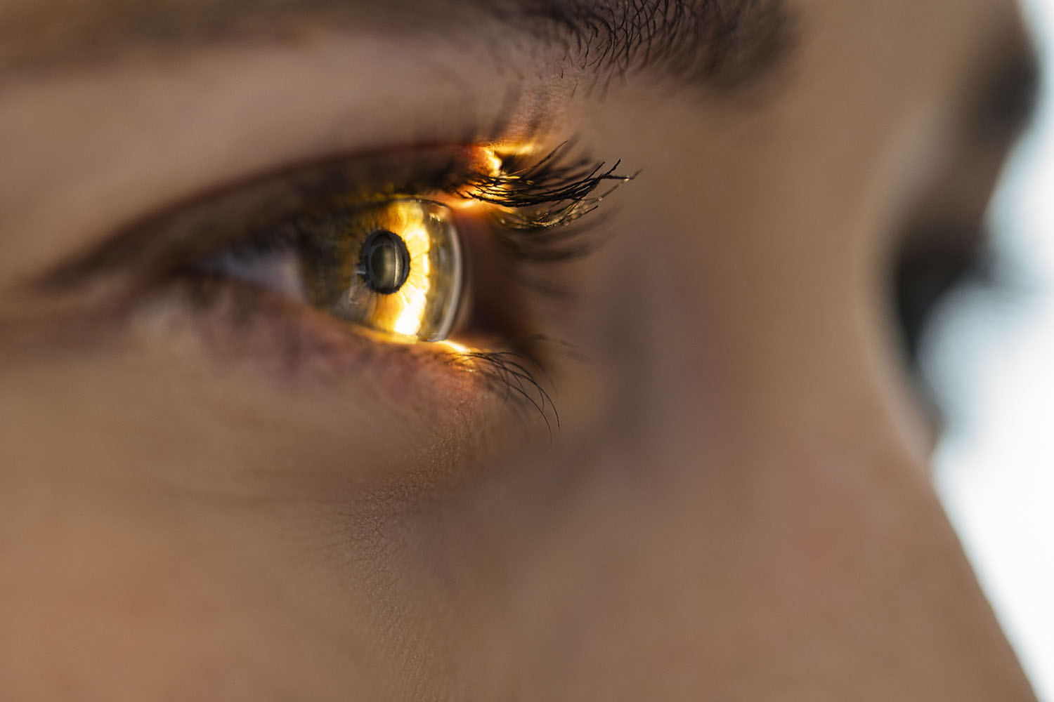 Home | The Eye Spot